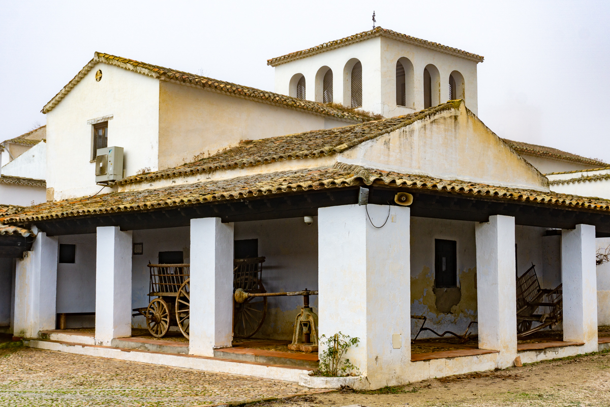 Que ver en el toboso | Portugalessence.com